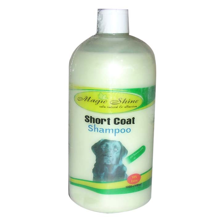 MAGIC SHINE SHORT COAT SHAMPOO 1 L USE FOR STRENGTHENS COAT AND AVOIDS ...