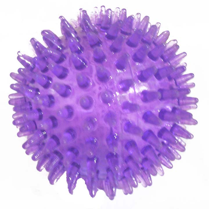 FTT SPIKE BALL LARGE - Pets Friend
