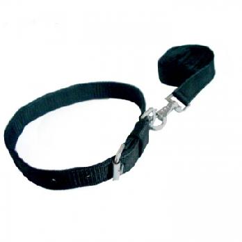 PP LEASH SET 1 INCH SP - Pets Friend